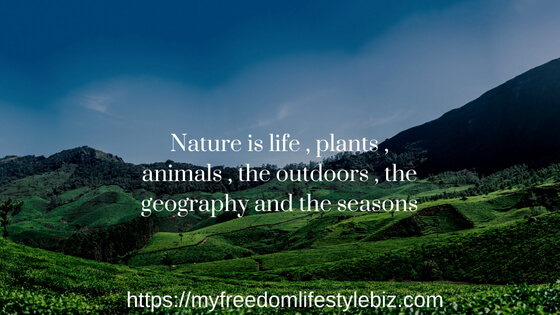 What is the key to success? | Live the Life you deserve